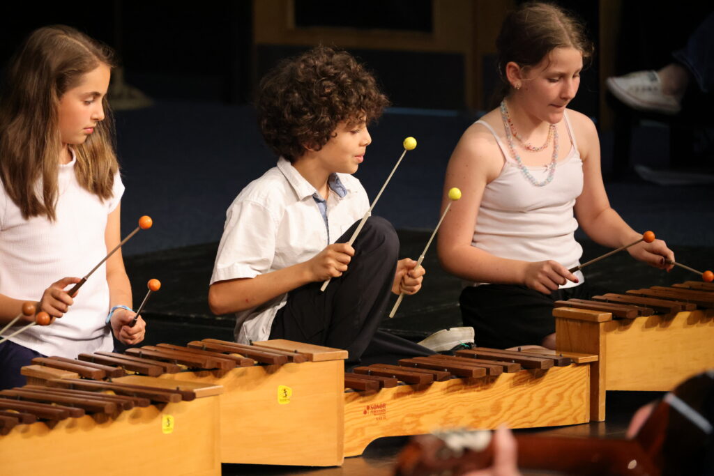 The Montessori Approach to Music - Washington Montessori School